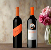 Entrega a Domicilio de Vinos & Champagne en Costa Rica | WAIN.cr – Wain.cr